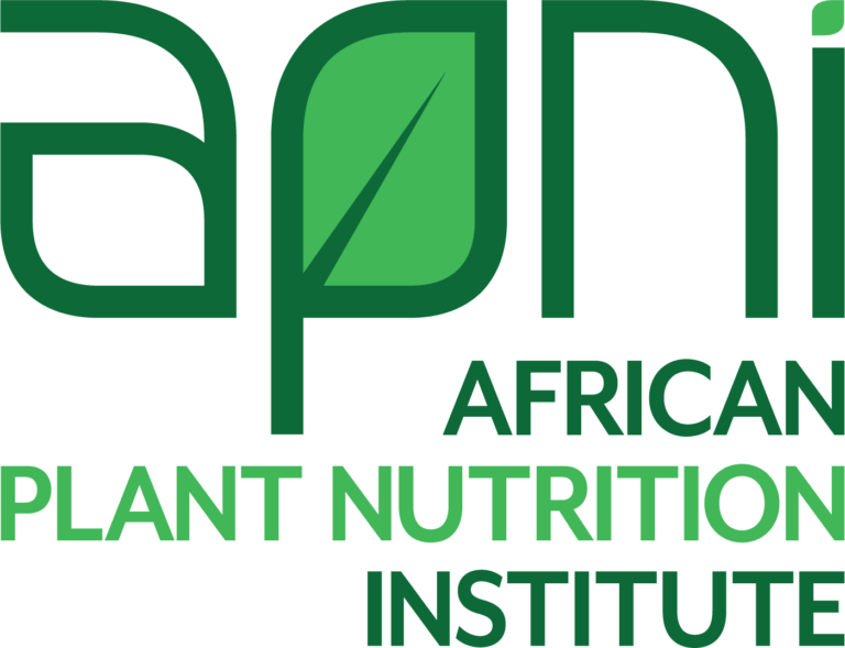 2020 Recipients of Young African Phosphorus Fellowship Award – African ...
