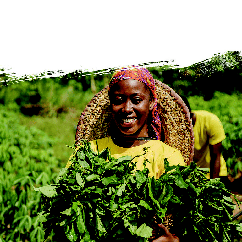 Our Strategic Vision – African Plant Nutrition Institute (APNI)