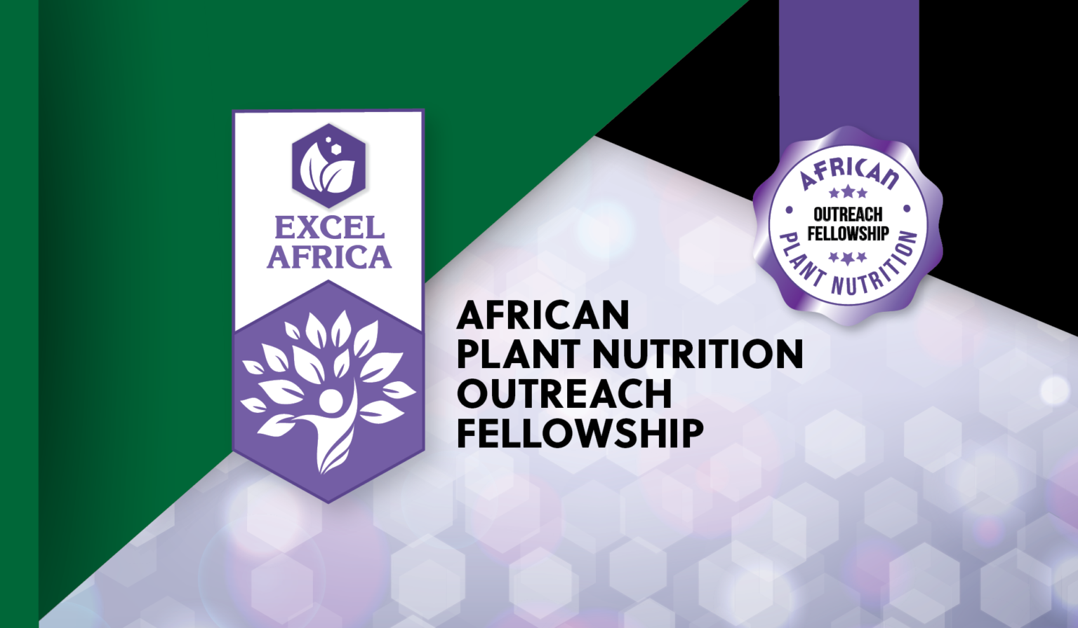 African Plant Nutrition Outreach Fellowship Award: Apply Now! – African ...