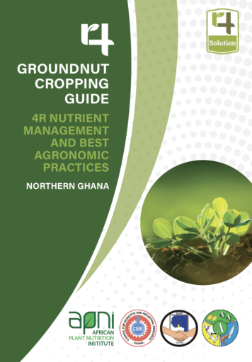 Groundnut Cropping Guide: 4R Nutrient Management and Best Agronomic ...