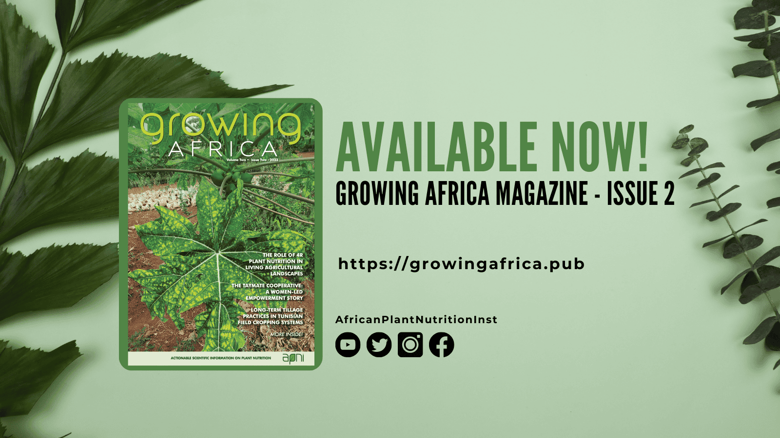 African Plant Nutrition Institute (APNI) – African Plant Nutrition ...