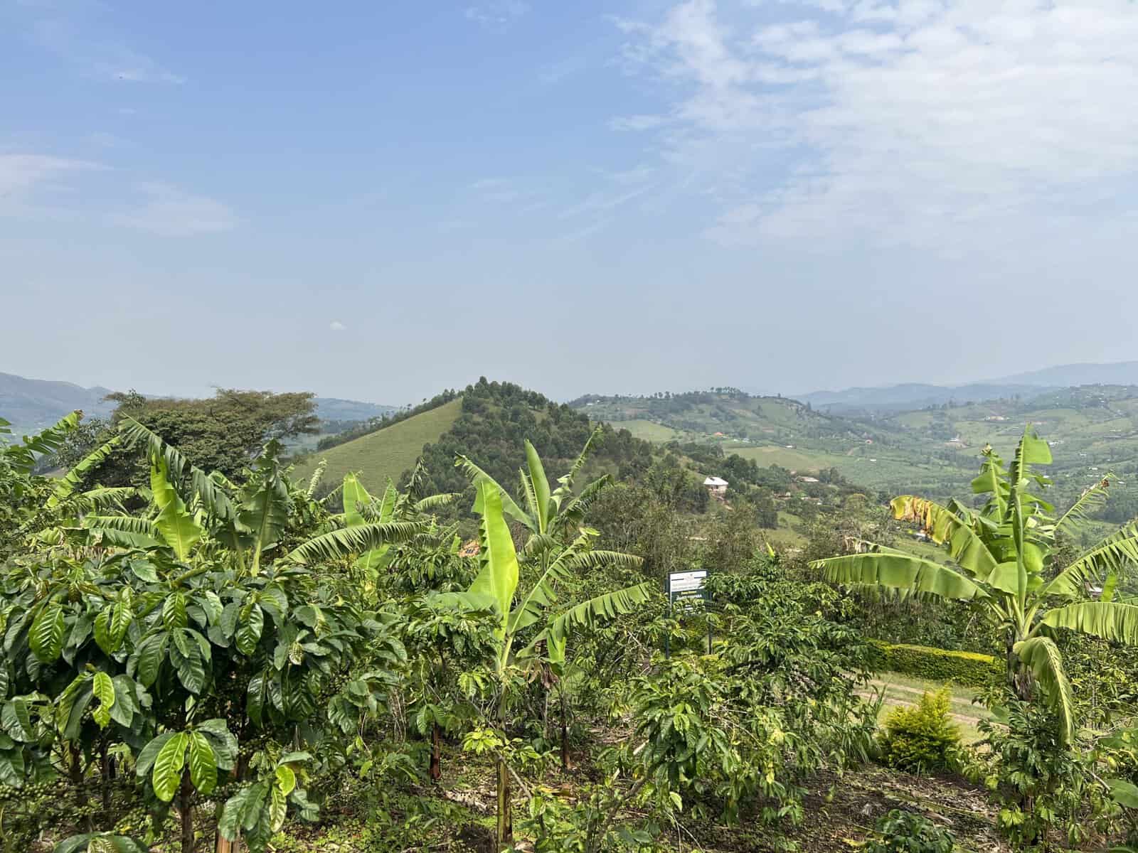 African Plant Nutrition Institute (APNI) – African Plant Nutrition ...