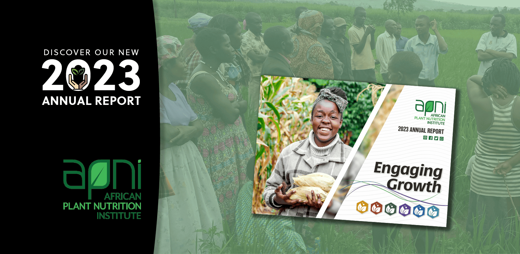 African Plant Nutrition Institute (APNI) – African Plant Nutrition ...
